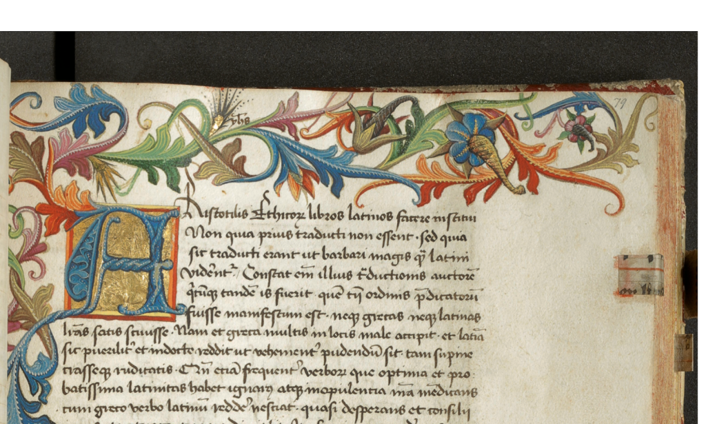 Team – Manicula – Marginalia Nicolai de Cusa Latina